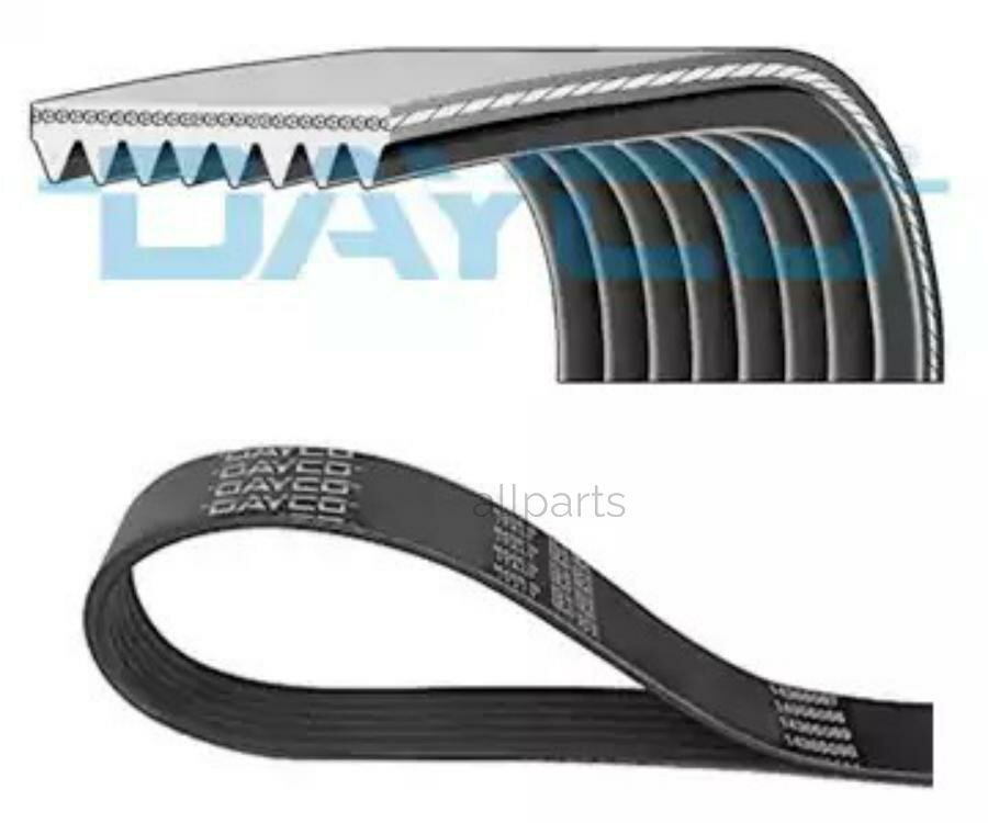 DAYCO 8PK800HD Ремень ручейковый Dayco