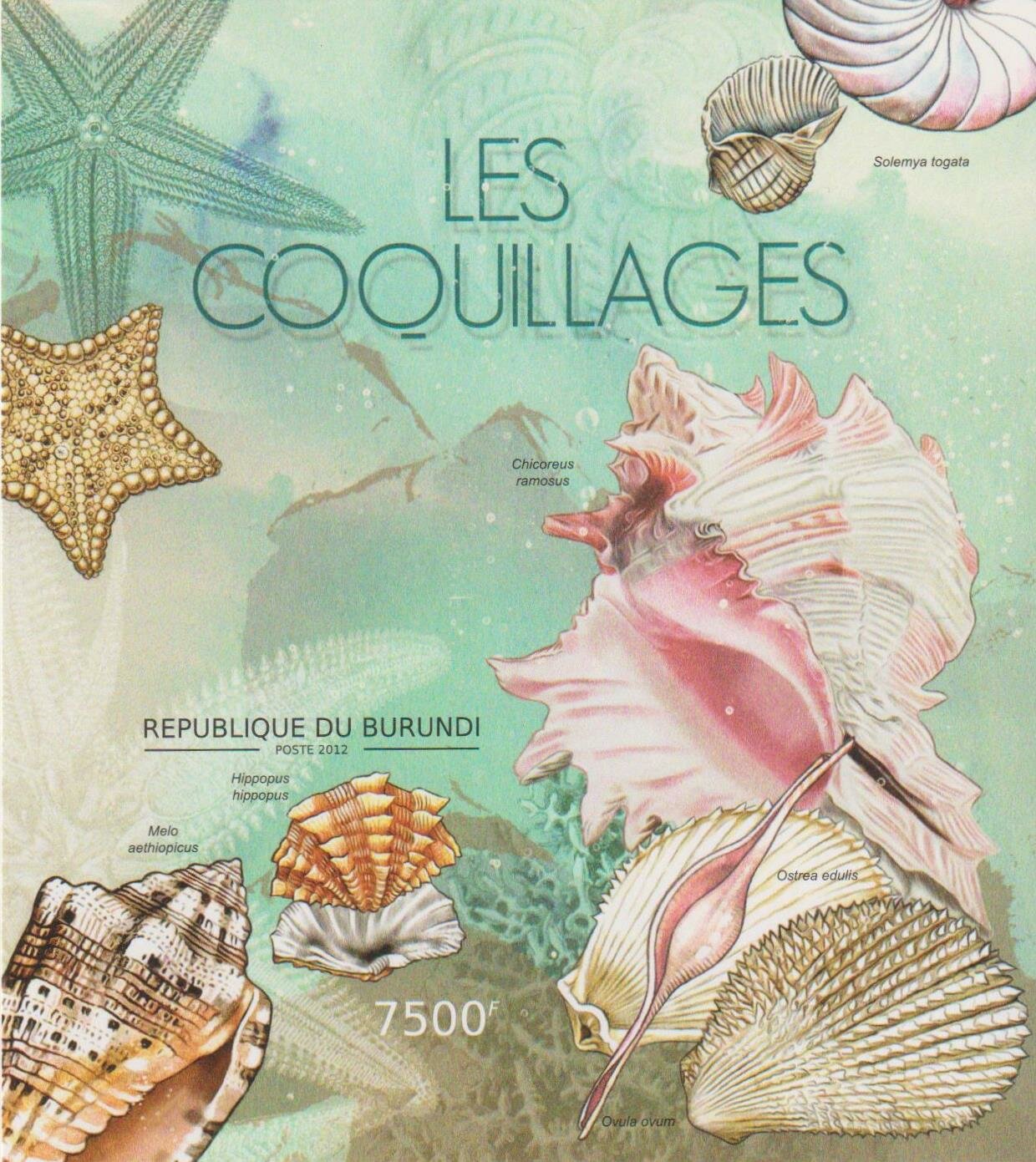 Почтовые марки Бурунди 2012г. "Ракушки" Ракушки, Моллюски MNH
