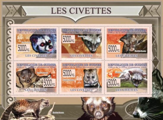 Почтовые марки Гвинея 2009г. "Фауна - Циветты" Фауна MNH