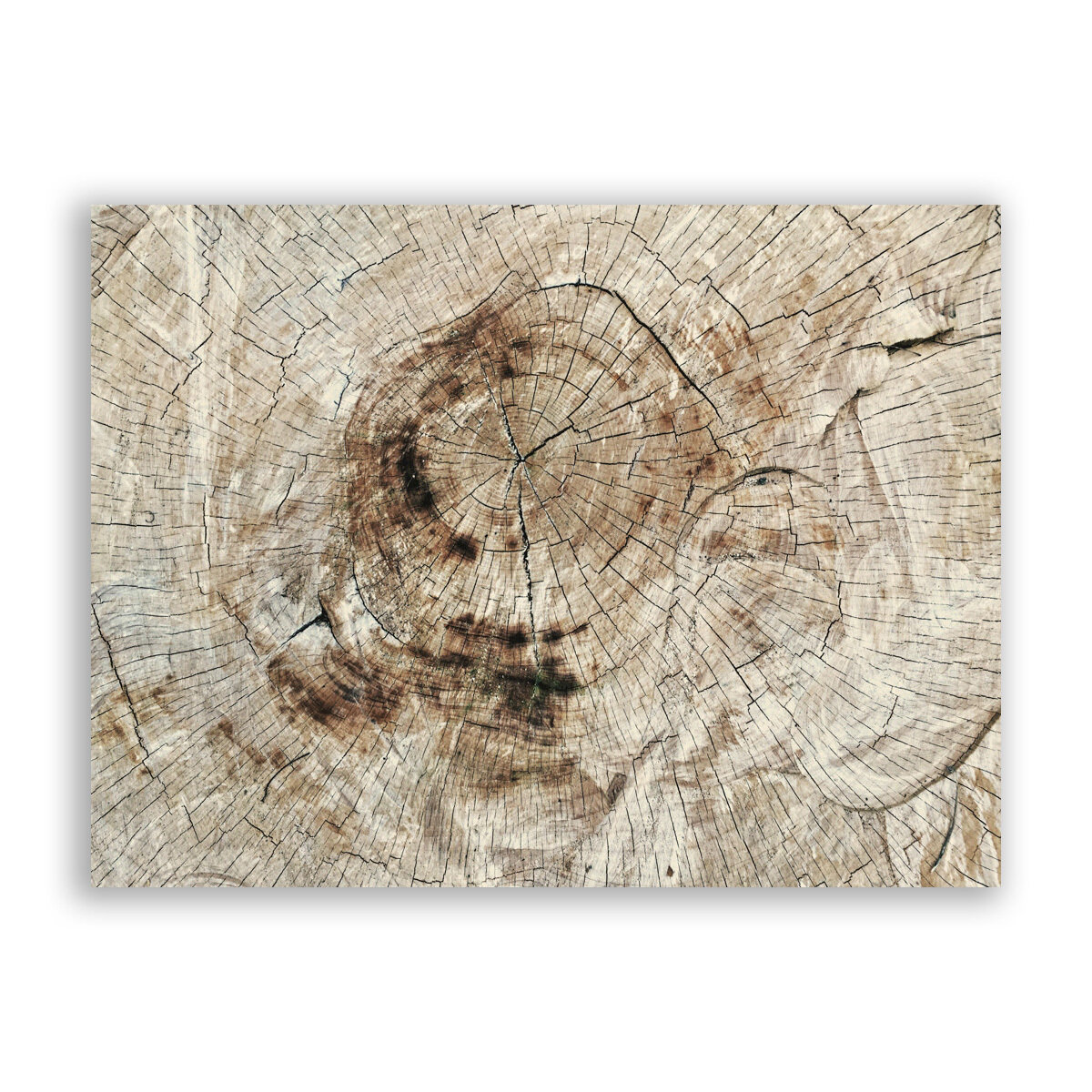 Постер, плакат на бумаге / Древесина / Размер 30 x 40 см