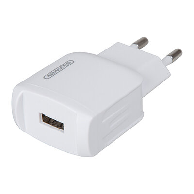 Зарядное устройство сетевое 220/12 В Skyway 2,4 A белый