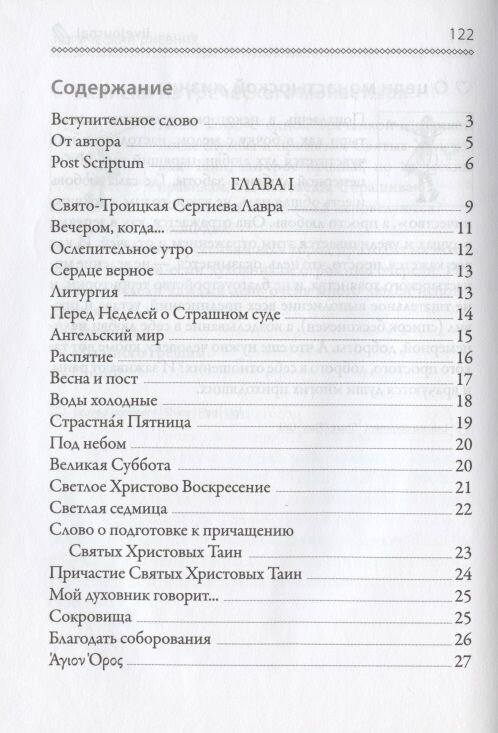 Лирический дневник. Записки послушницы