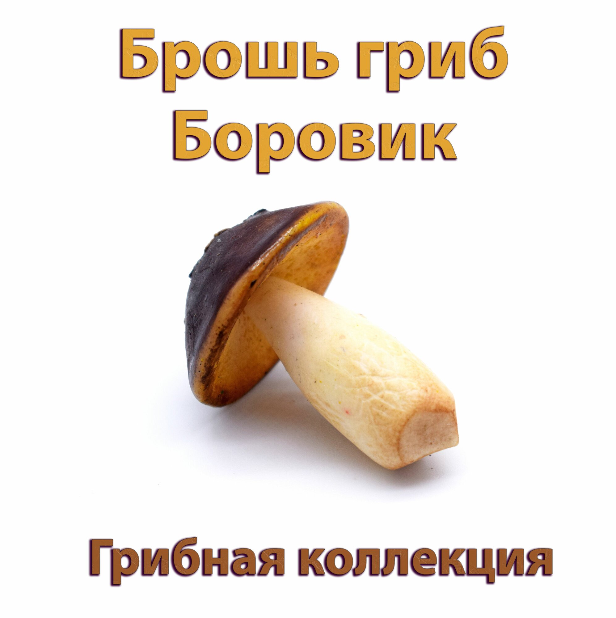 Брошь, металл