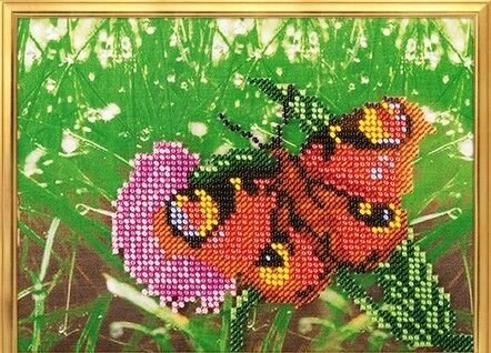 Павлиний глаз, набор для вышивания бисером, вышивка В-208