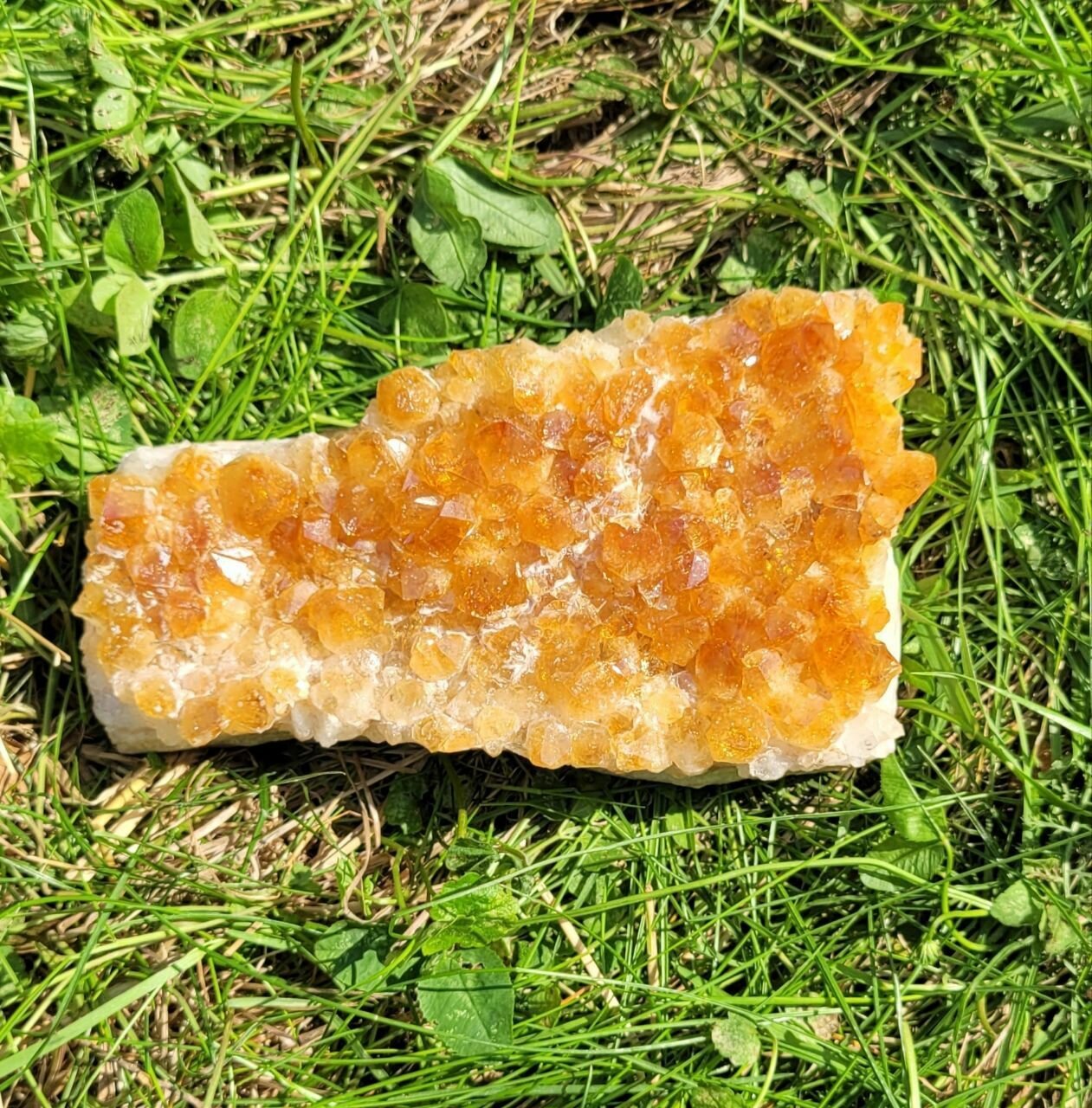 Друза цитрина 745г