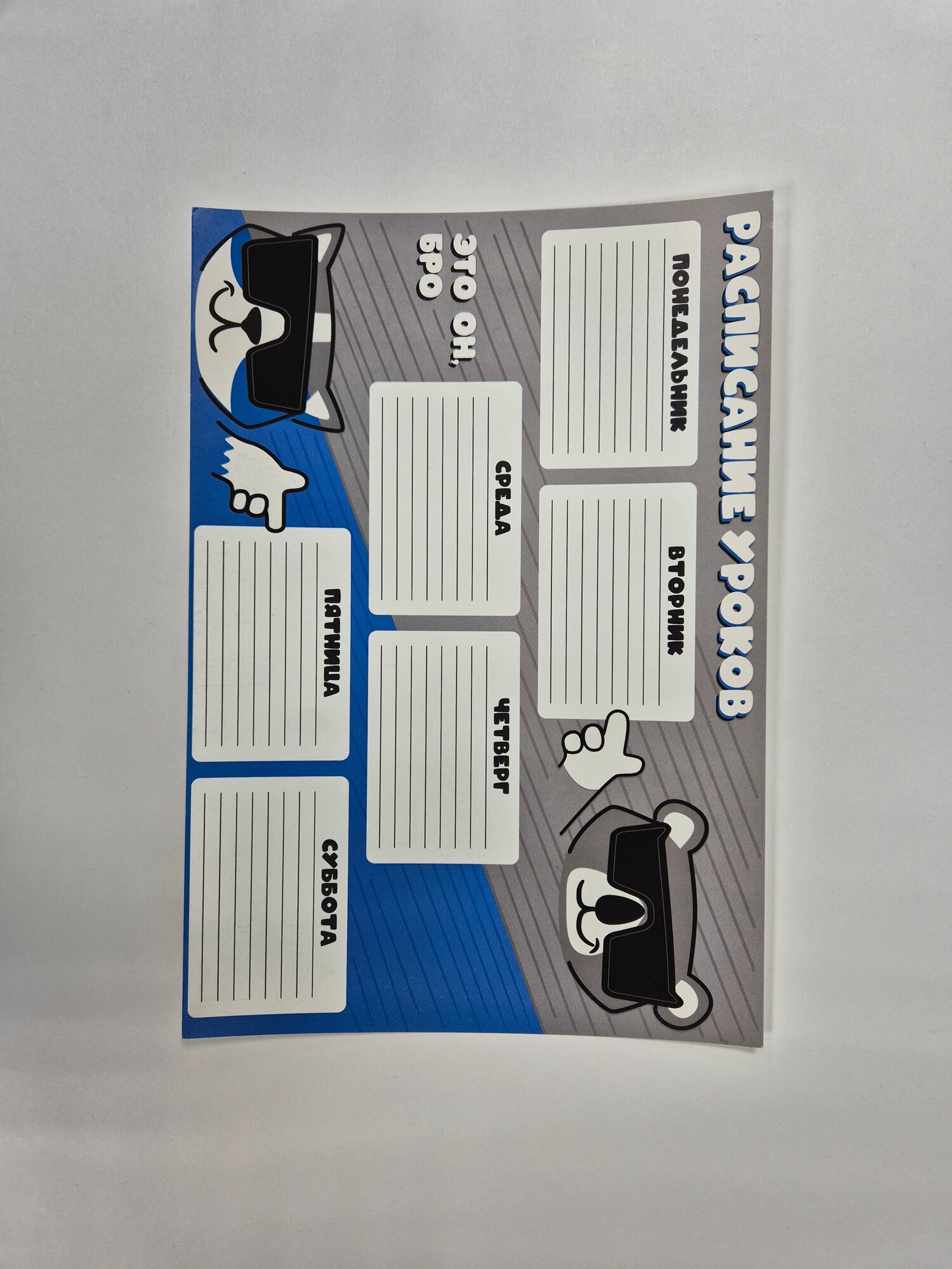 Расписание уроков ЭТО ОН А4, полноцв. печать, мелованный картон/56830