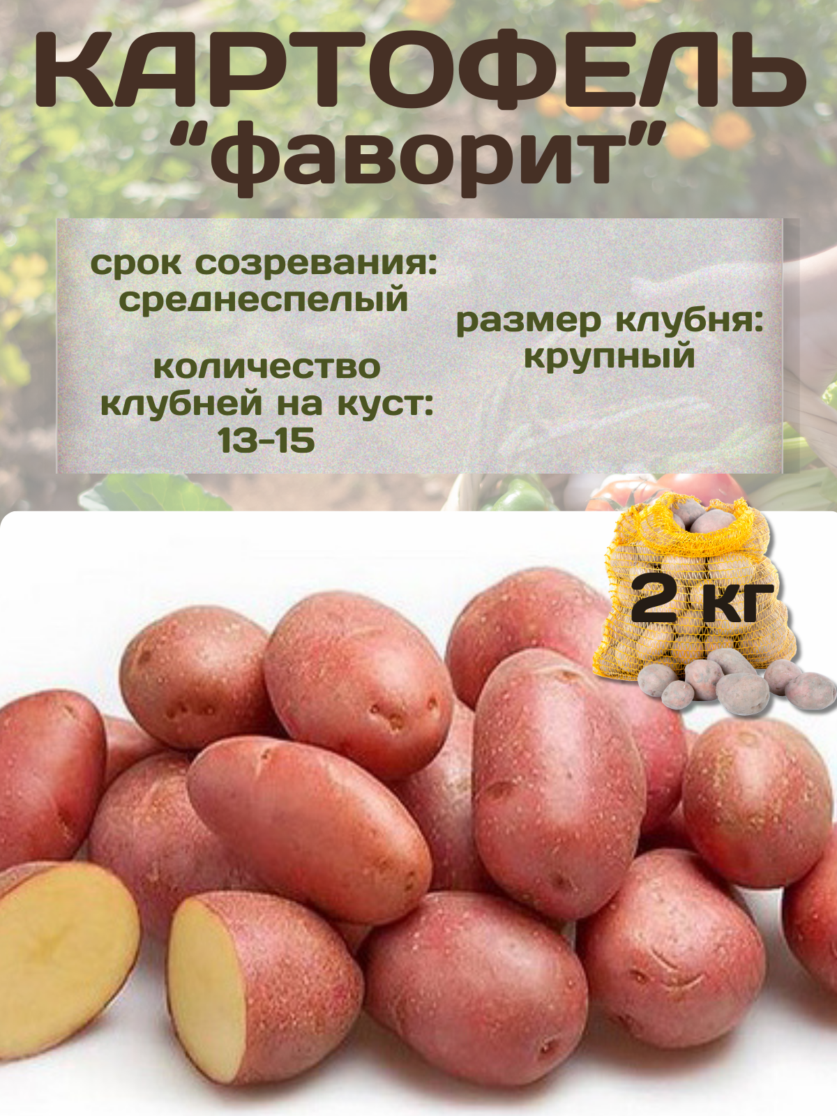 Картофель семенной Фаворит 2 кг, на посадку