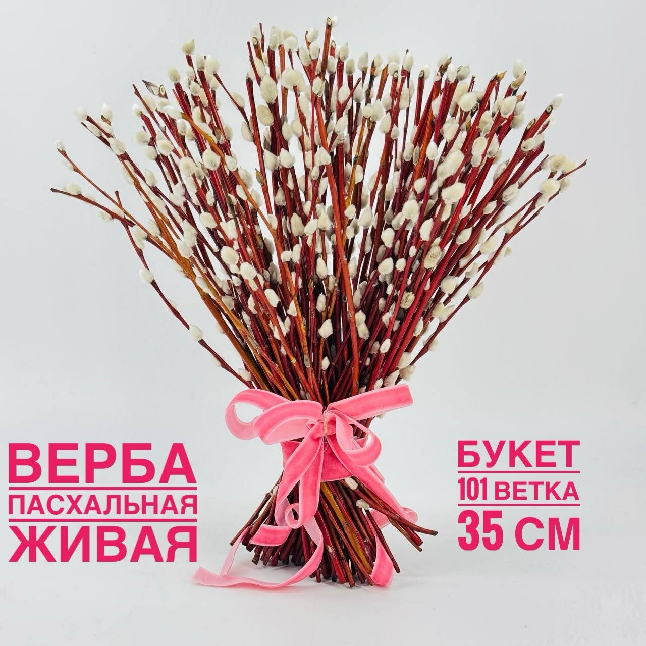 Вербный букет. Пасхальный букет из живой вербы красноталка