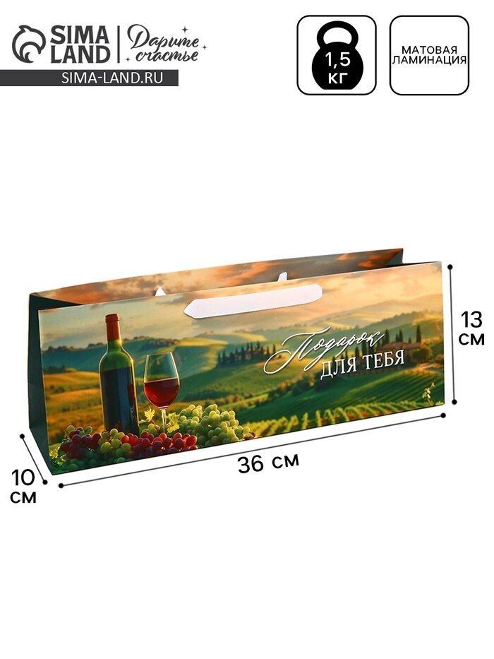 Пакет под бутылку «Подарок для тебя», 36×10×13 см