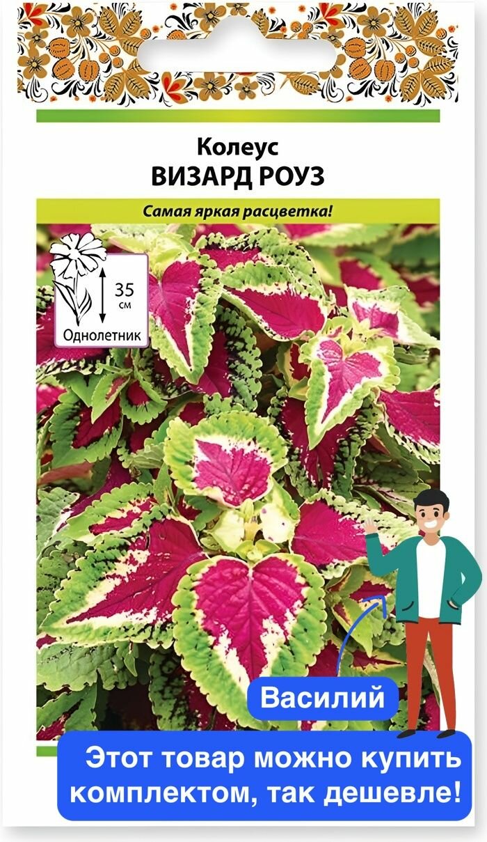 Цветы Колеус Визард смесь
