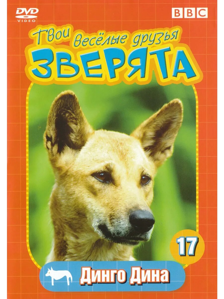 BBC: Твои веселые друзья зверята: Динго Дина (DVD-R)