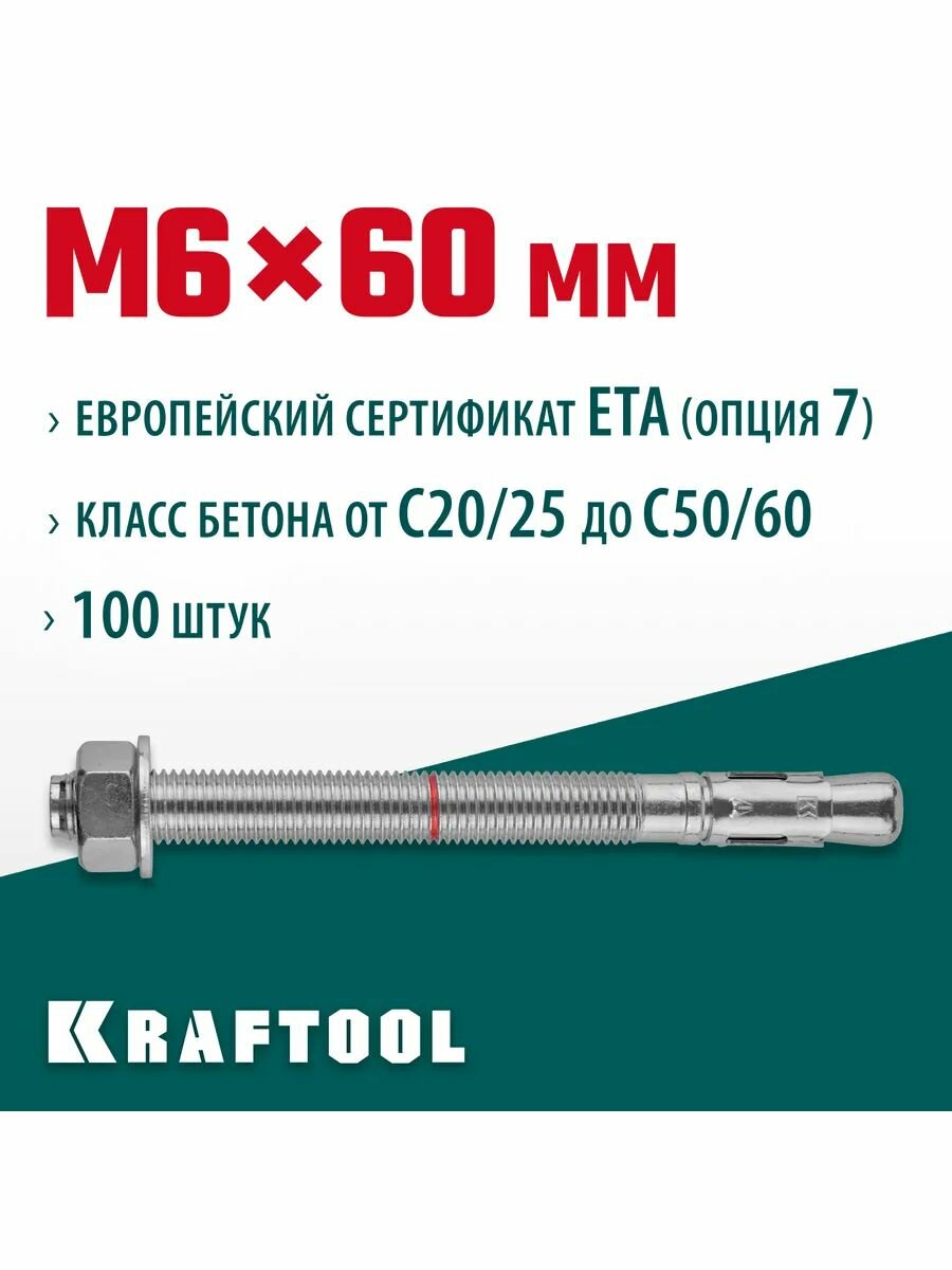 Клиновой анкер, М6x60, 100 шт. 302184-06-060