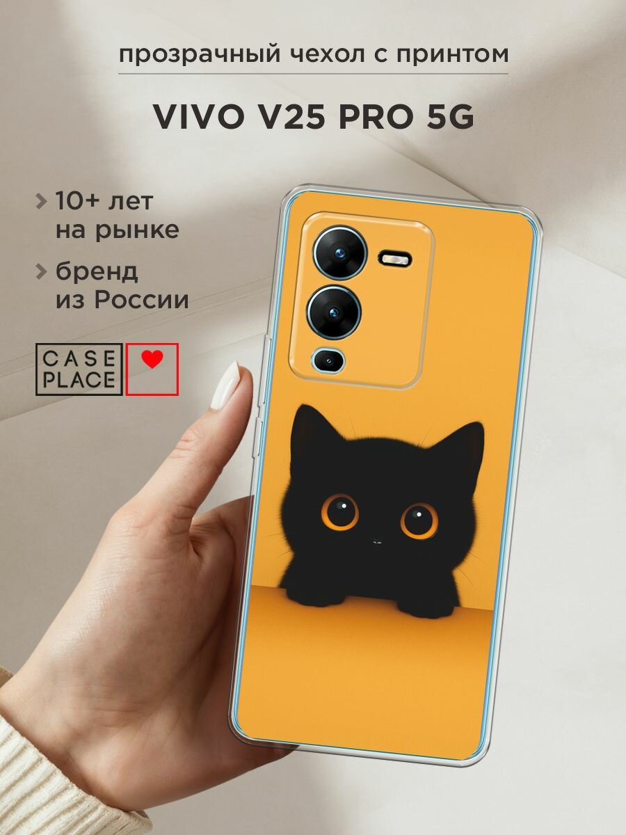 Чехол на Vivo V25 Pro 5G / Виво V25 Про 5G с принтом "Контрастный котик"