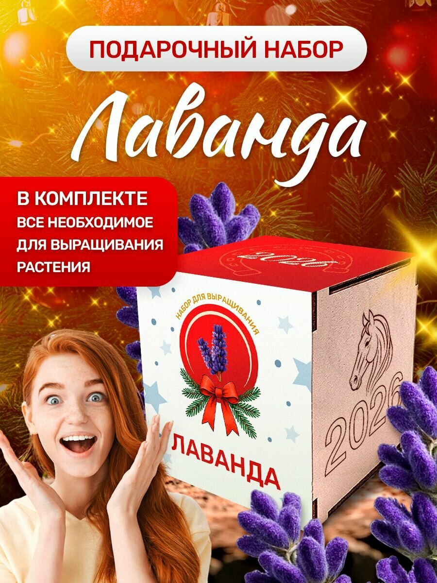 Лаванда Новогодний набор для выращивания растений