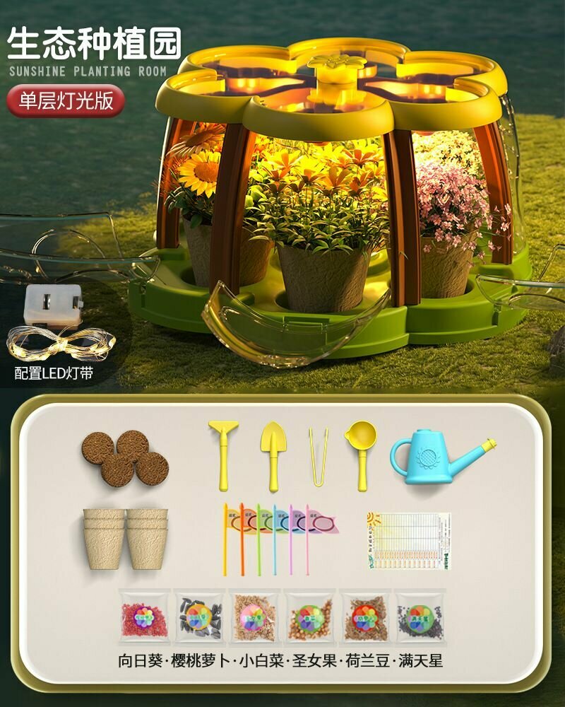 Набор для создания флорариума