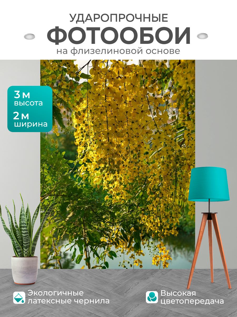 Фотообои моющиеся ударопрочные "Слоны хоботом, гороховый цветок, золотой дождь дерево" 200x300 см. флизелиновые на стену