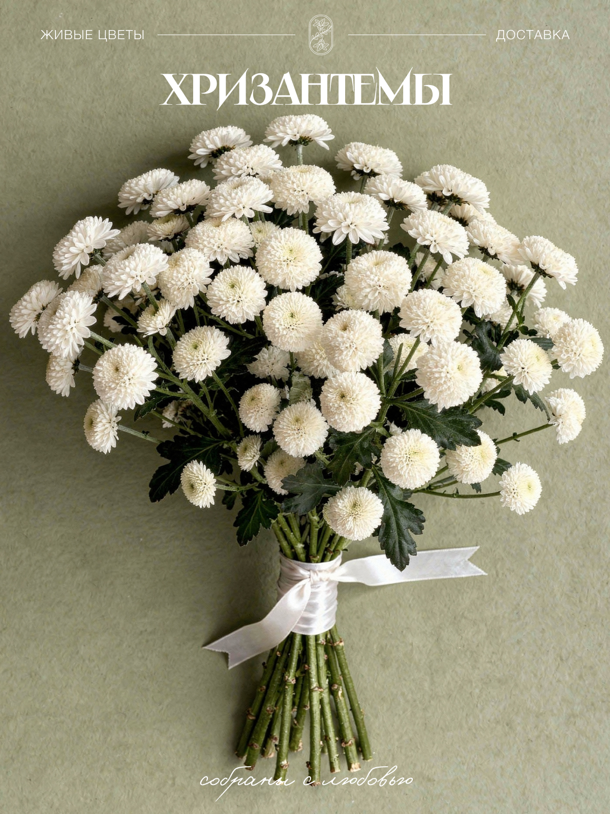 Букет живых цветов из 15 кустовых хризантем