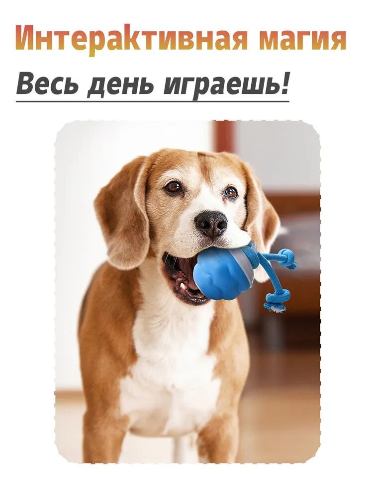 Игрушка для животных — фото 1