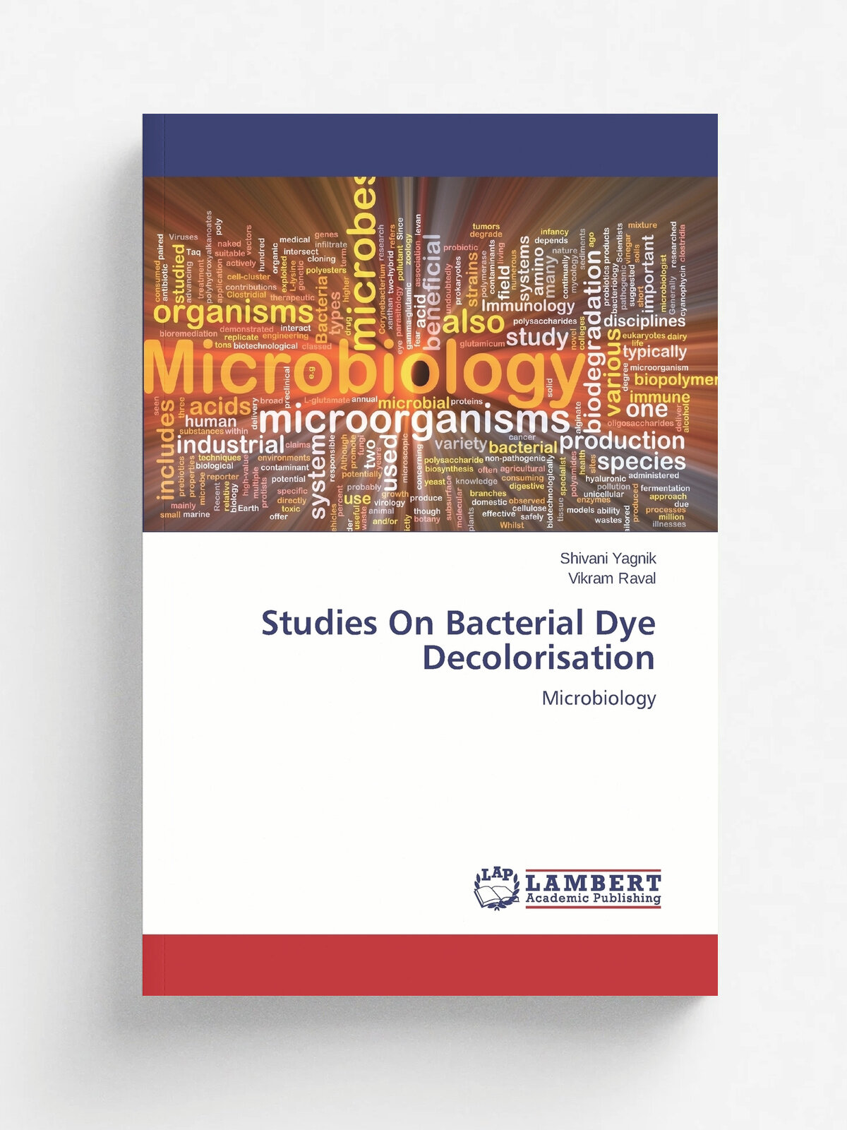 Studies On Bacterial Dye Decolorisation