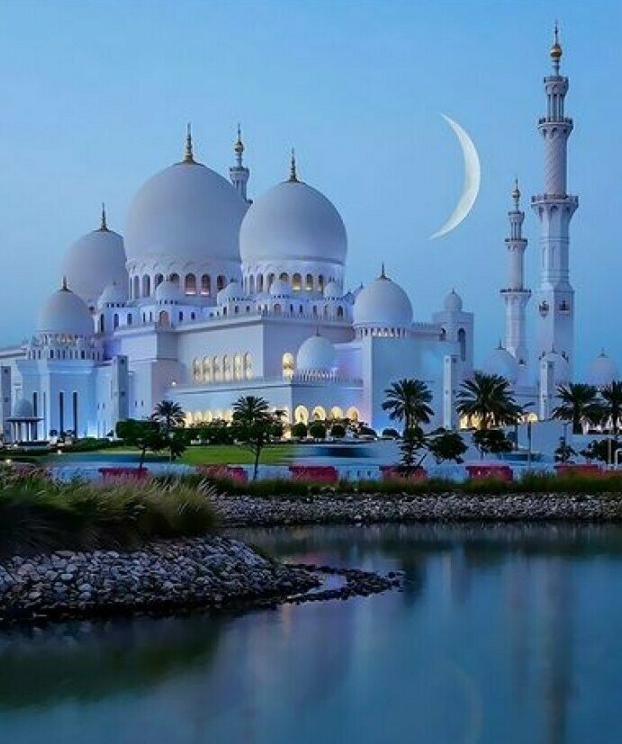 Картина по номерам на холсте 40*50 см "Мечеть Шейха Зайда"