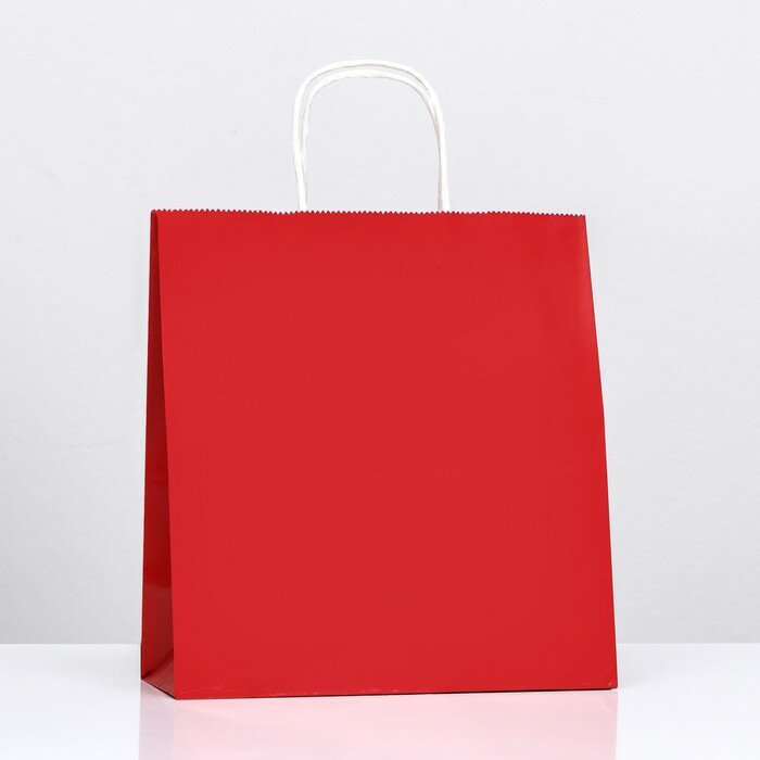 Пакет крафт "Радуга", гранатовый, 25 х 12 х 27 см, 80 г/м2