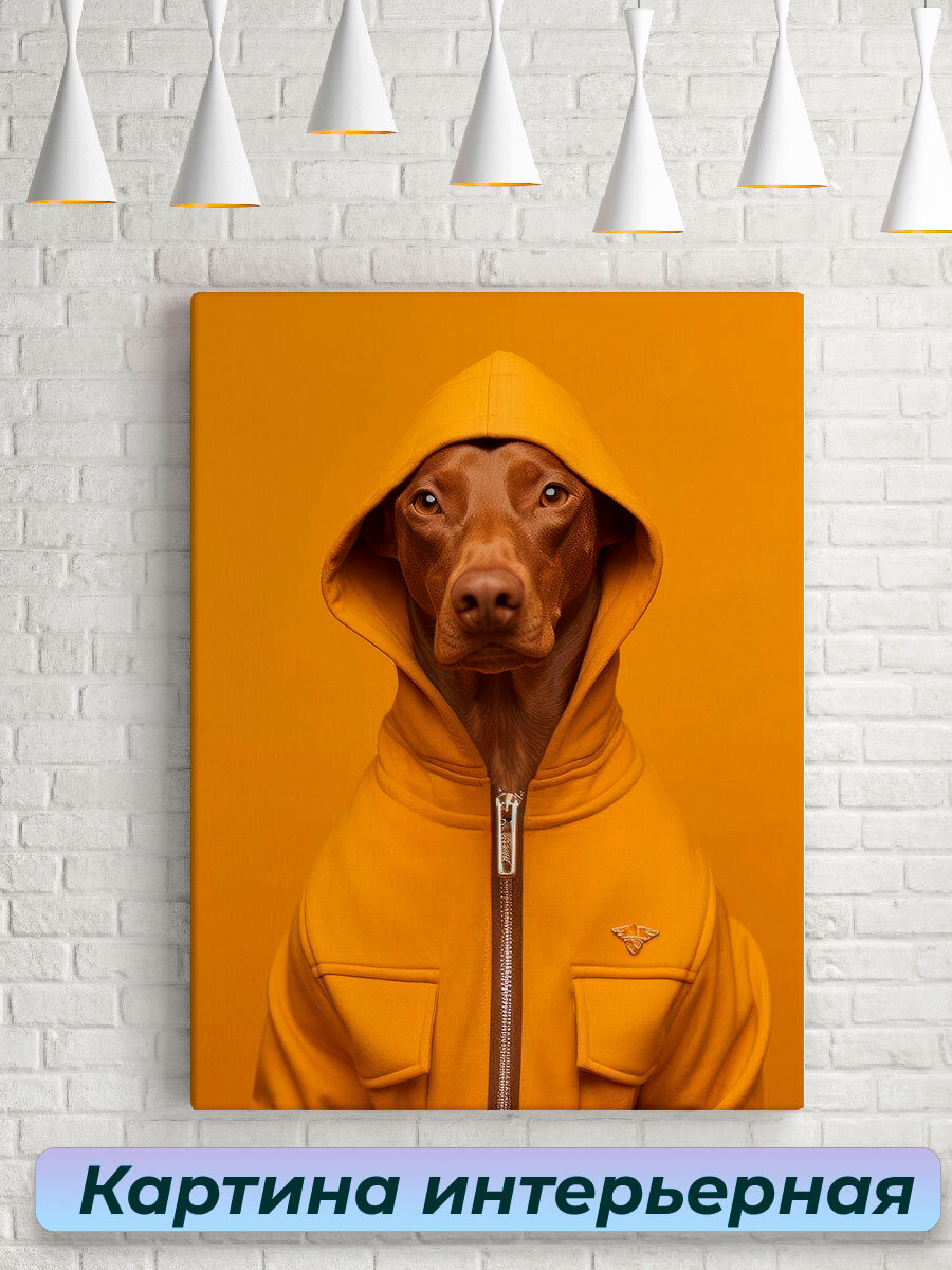 Картины для интерьера 40х60 Собака в капюшоне рыжий пес
