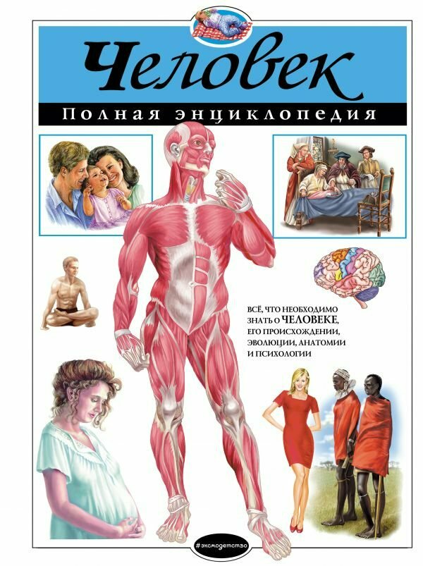 Человек. Полная энциклопедия / Школьник Ю. К.