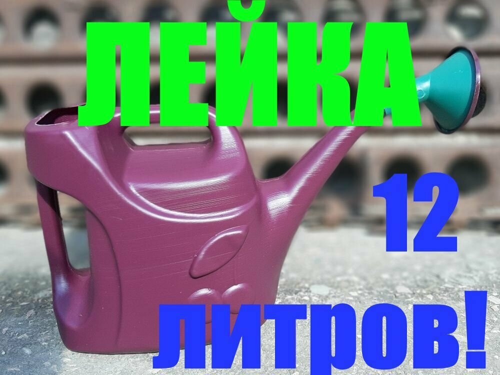 Лейка для сада и дачи на 12 литров, с рассеивателем в комплекте, цвет микс