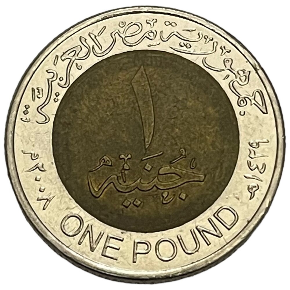Египет 1 фунт 2008 г. (AH 1429) (3)
