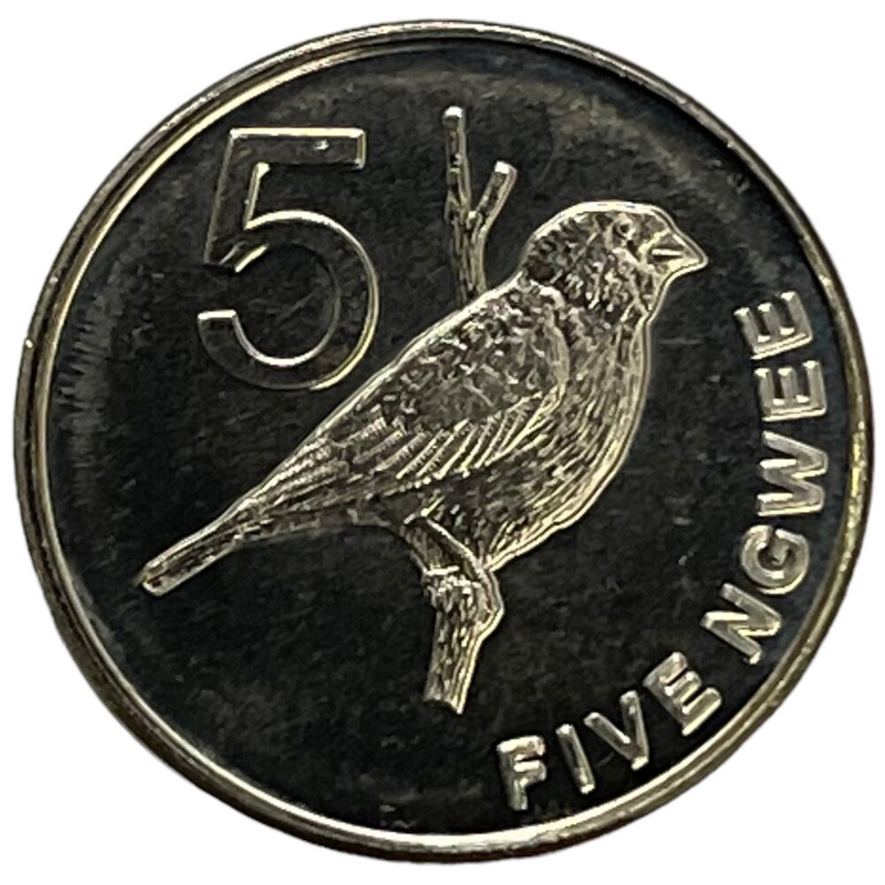 Замбия 5 нгве 2012 г. (2)