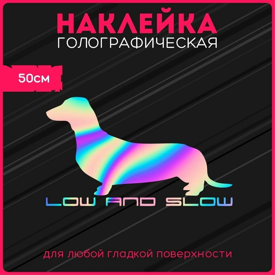 Наклейки на авто стикеры светоотражающие собака такса мем прикол