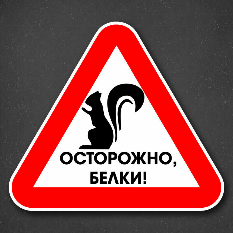 Наклейка на авто "Предупреждение - осторожно белки" 21x19 см