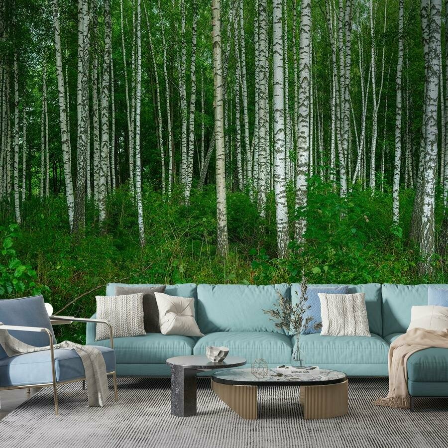 Фотообои Лес березовый 9-1971-S-Флок 270 x 200 см (ВхШ) Бесшовные, флизелиновые, влагостойкие обои MasterFresok