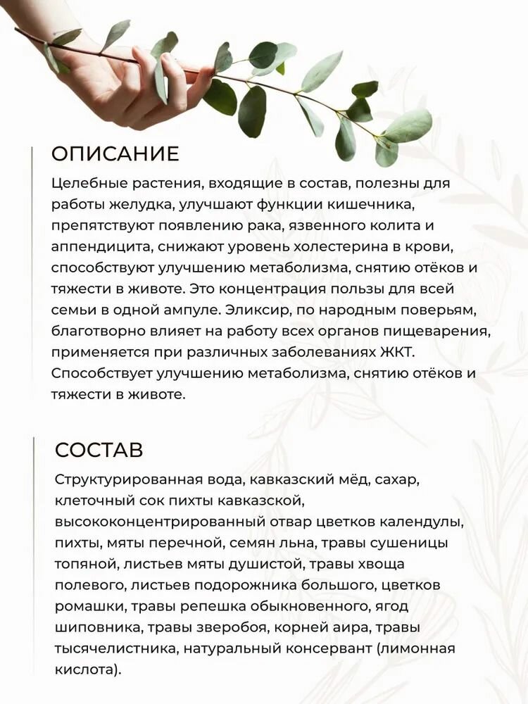Эликсир для жкт Хранитель желудка улучшения метаболизма, от тяжести в желудке, Солох-Аул, 2 шт