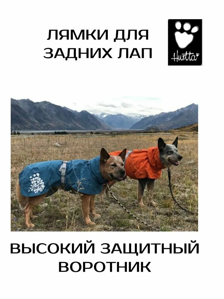 Одежда для животных — фото 1
