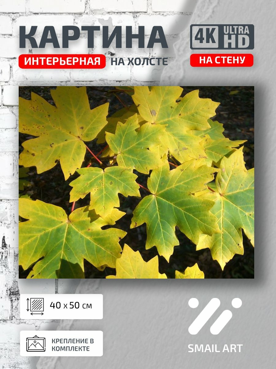 Картина на холсте интерьерная 40 на 50 на стену Осень Landscape для офиса пейзаж интерьер