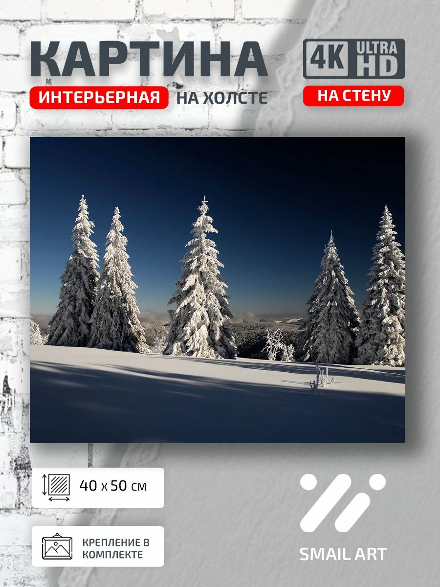 Картина на холсте интерьерная 40 на 50 на стену Горы Landscape для спальни пейзаж интерьер