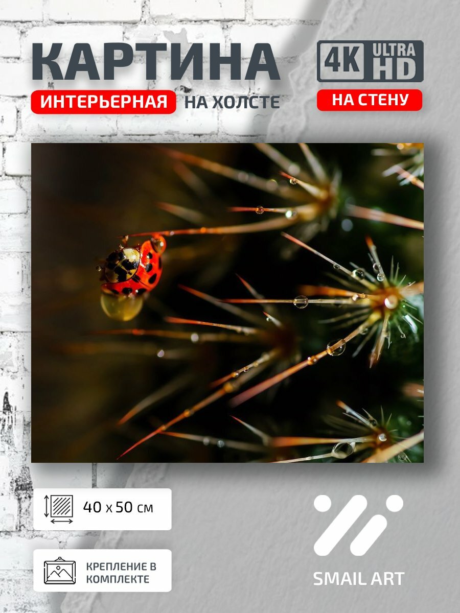 Картина на холсте интерьерная 40 на 50 на стену Роса Macro для студии макро интерьер декор