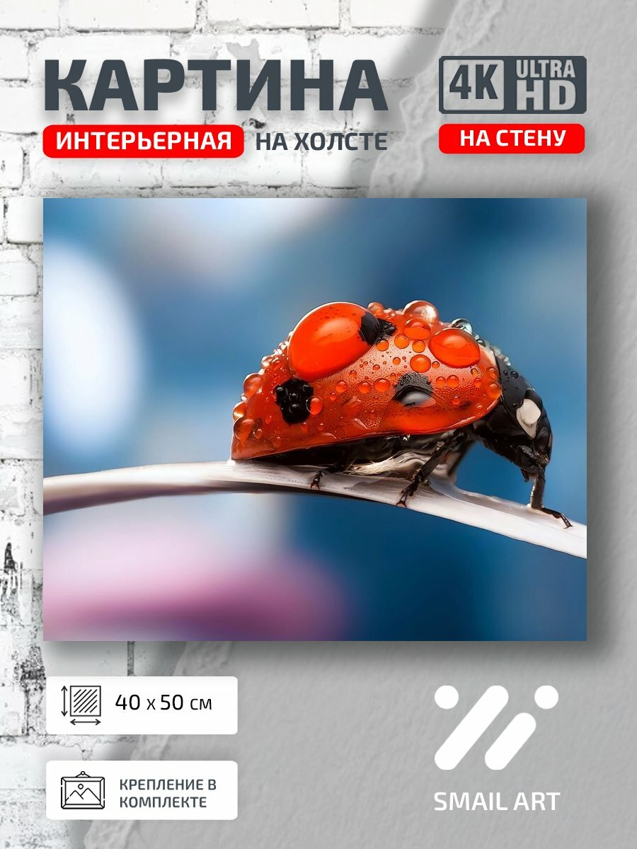 Картина на холсте интерьерная 40 на 50 на стену Коровка Macro для офиса макро интерьер