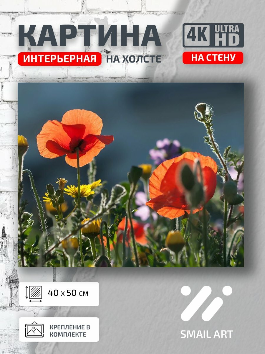 Картина на холсте интерьерная 40 на 50 на стену Мак Landscape для кафе пейзаж интерьер