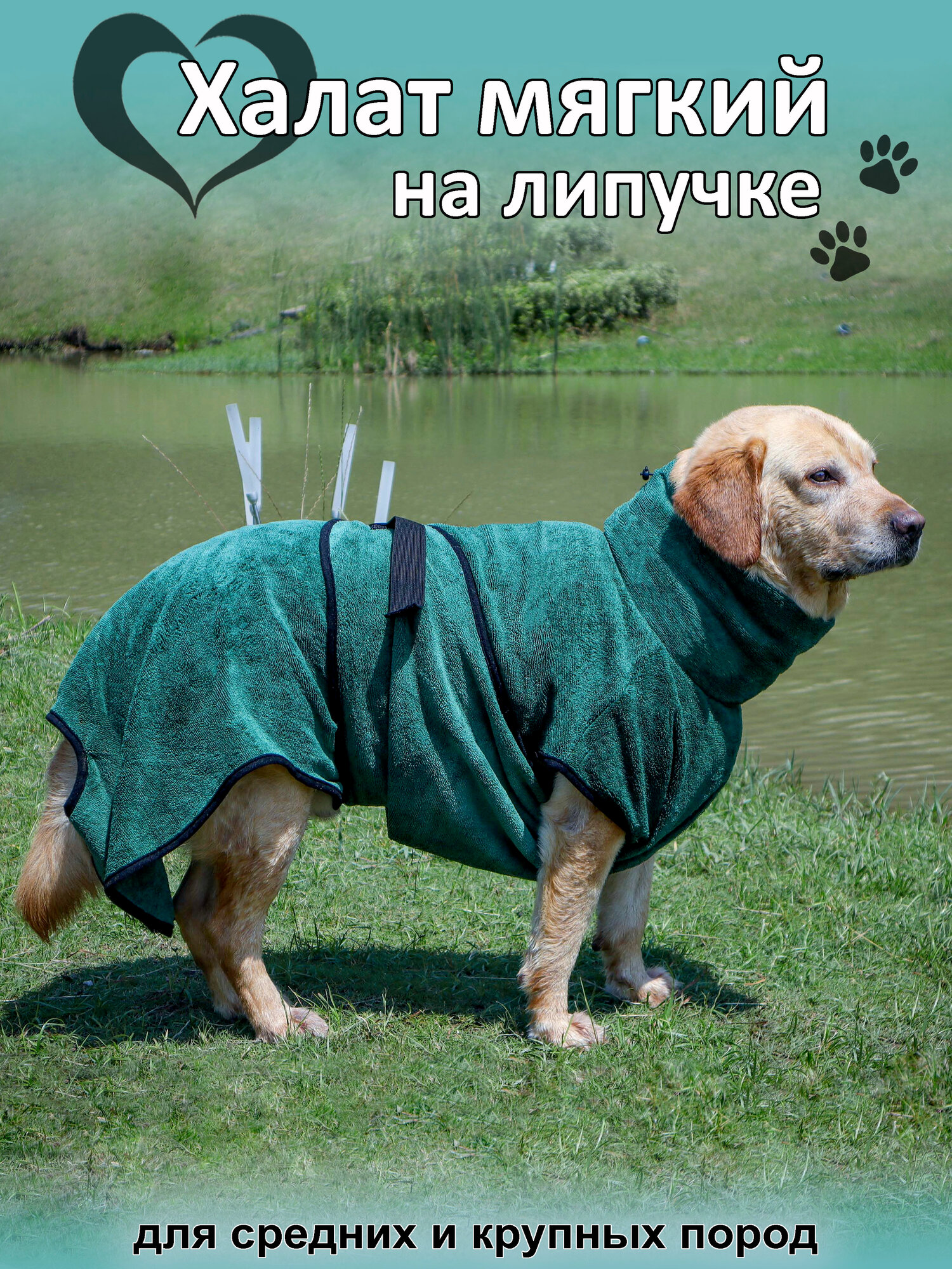 Халат на затяжке для собак средних и крупных пород, цвет зеленый, размер L，XL, Rexy crew