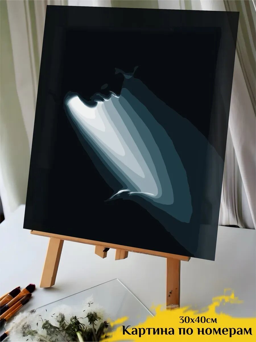 Картина по номерам тень