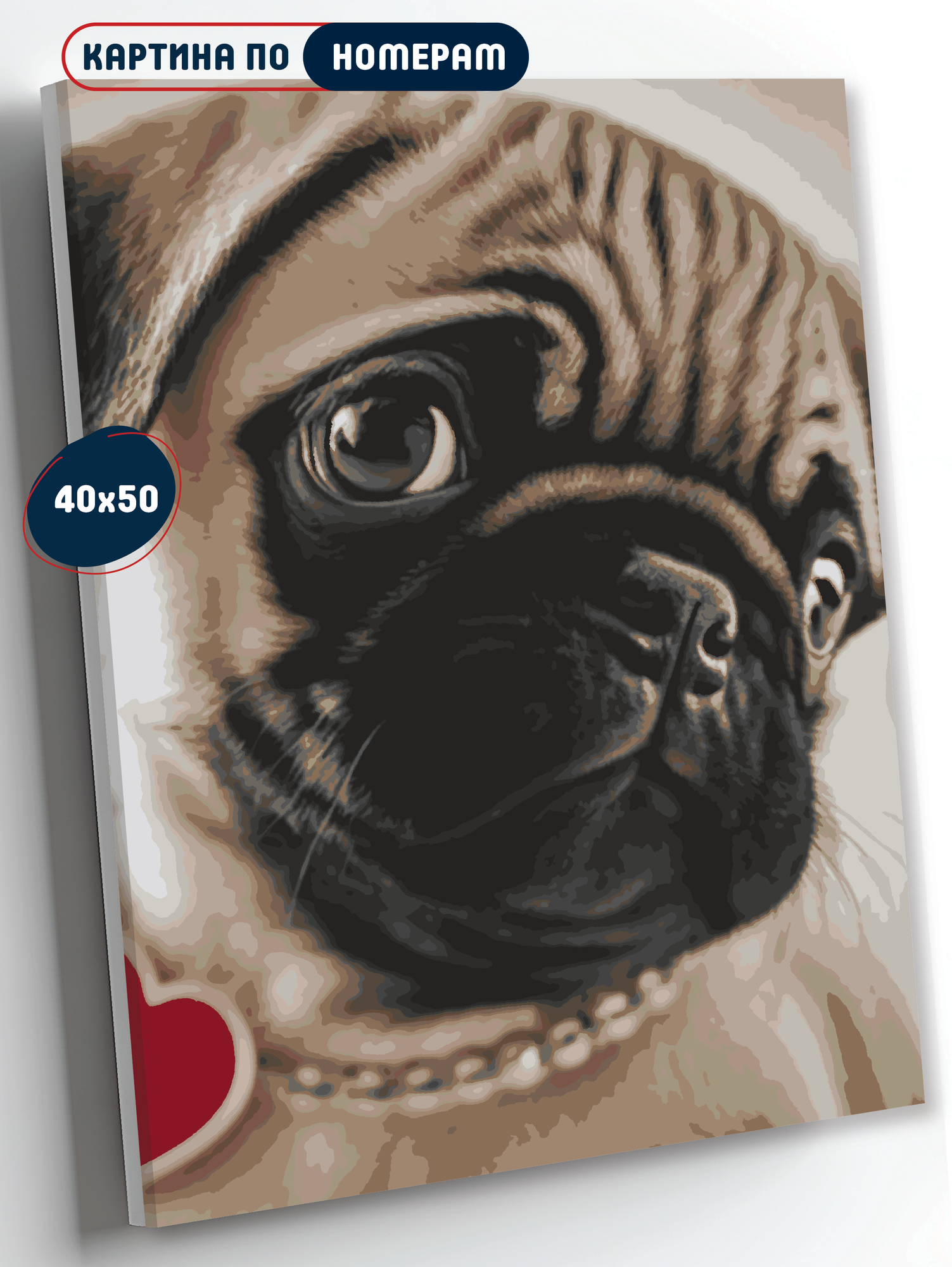 Картина по номерам "Мопс", Холст на подрамнике 40х50, набор для рисования