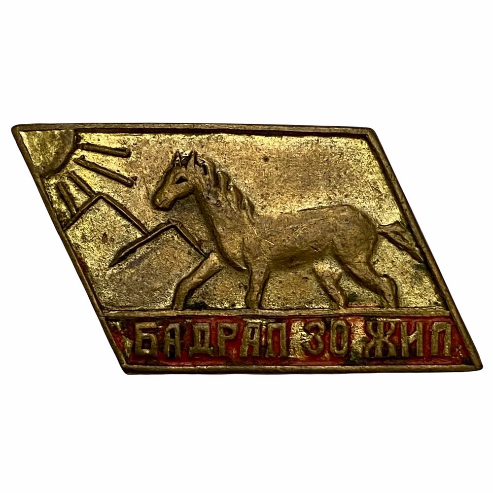 Знак "Бадрал 30 жил" (Кооперативу Бадрал 30 лет) Монголия 1984 г.