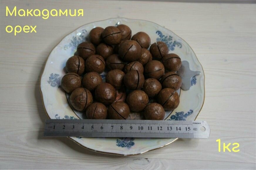 Орех макадамия в скорлупе, ключ внутри 1000 г / 1кг