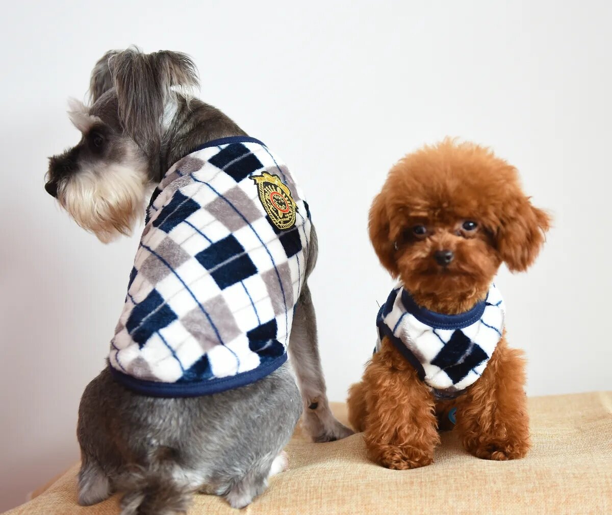 Плюшевый жилет для собак "Кембридж" (67см )