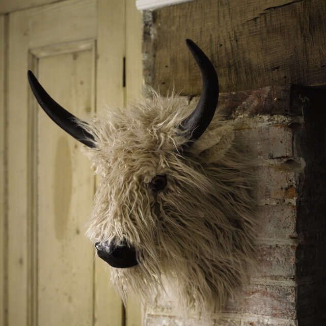 Настенное украшение Голова белого яка 43 см, Kaemingk, 582385