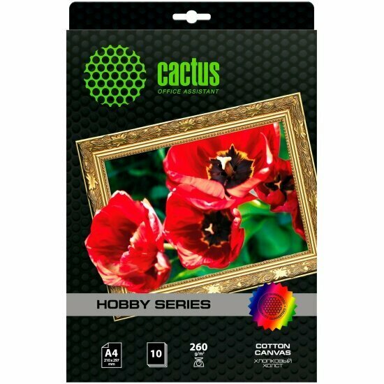 Холст Cactus CS-CA426010 A4/300г/м2/10л. для струйной печати