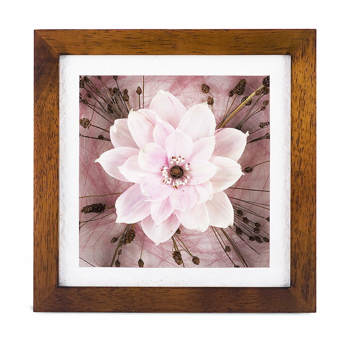 Панно настенное цветы из сухоцветов в деревянной рамке со стеклом