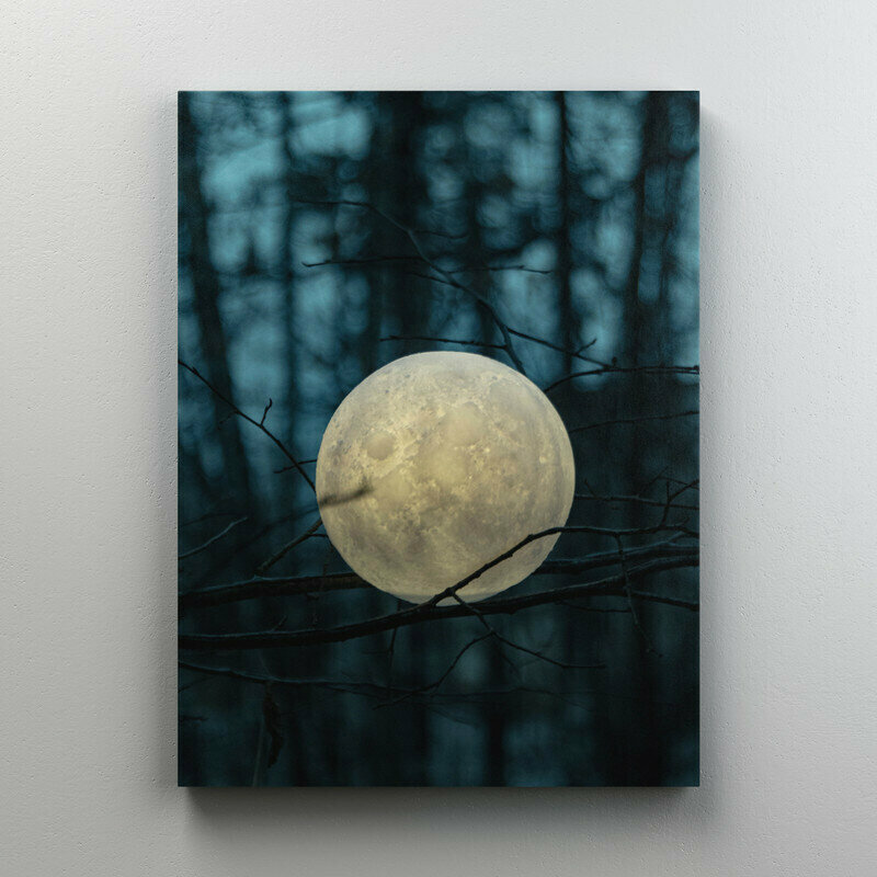 Интерьерная картина на холсте "Полнолуние в лесу", размер 22x30 см